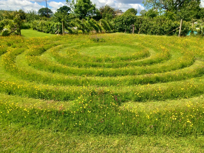 Wild Flower Meadow Maze! – Lanchester Community Orchard