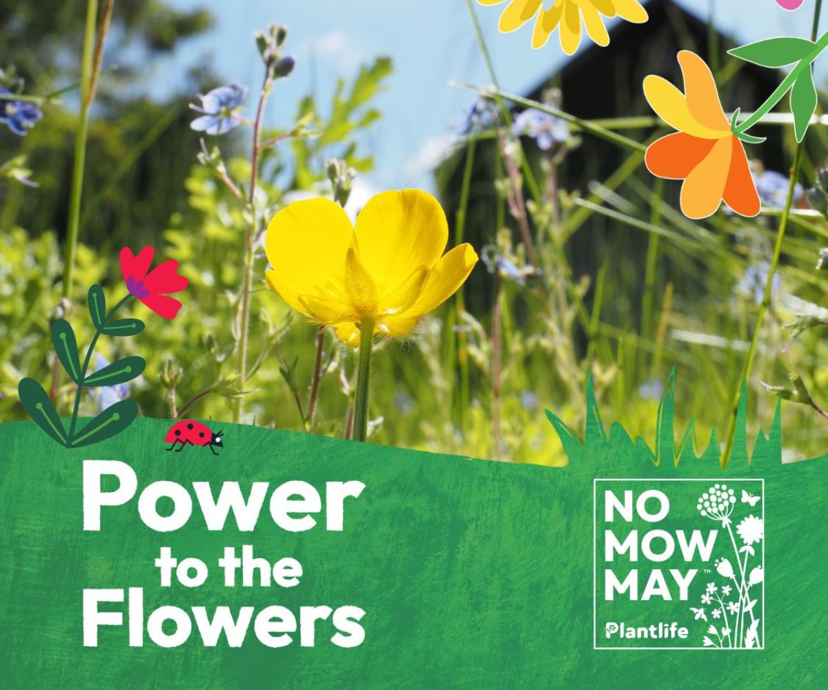 No Mow May – Lanchester Community Orchard